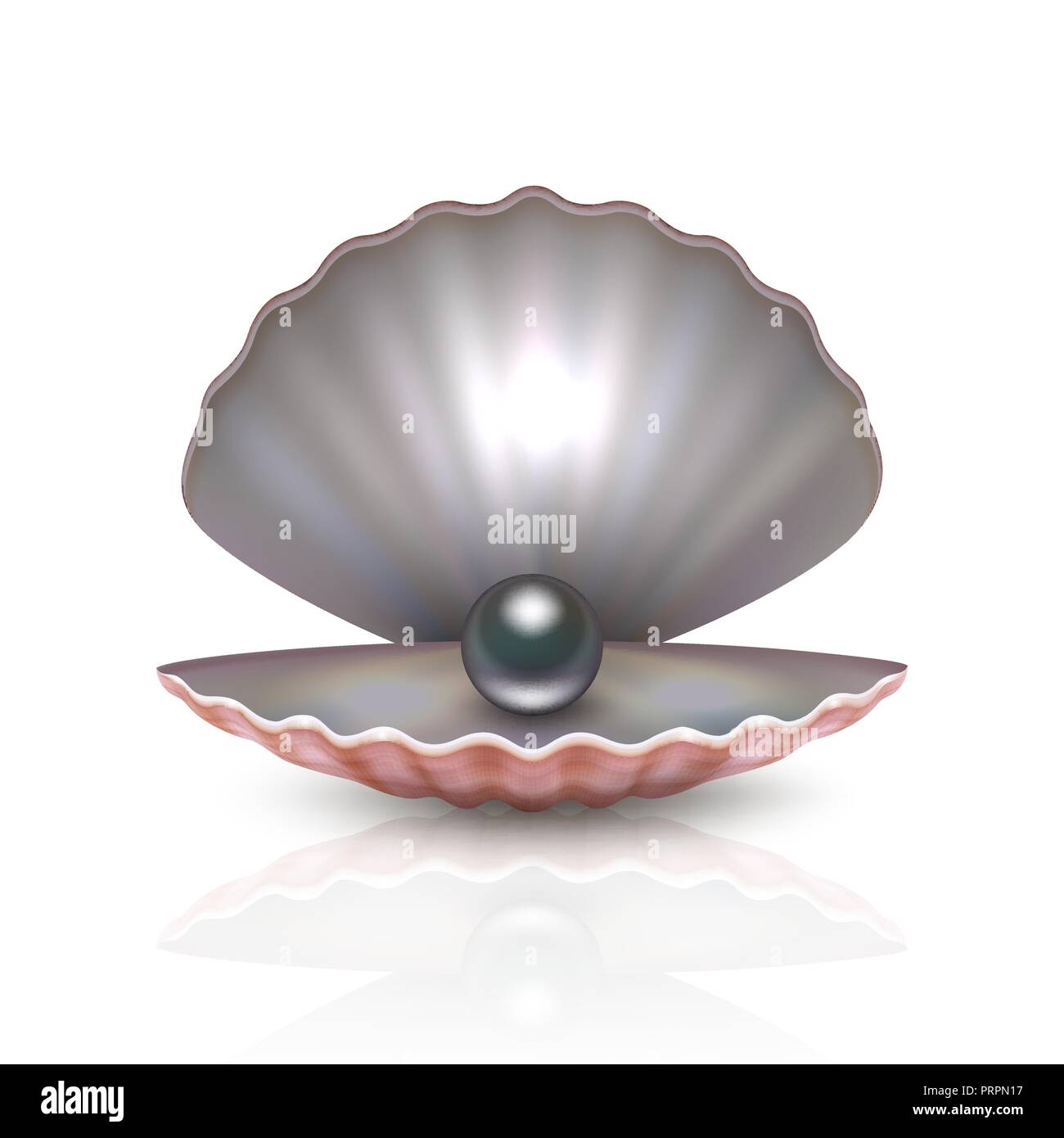 Close up view graphics Stock Vector Images - Alamy