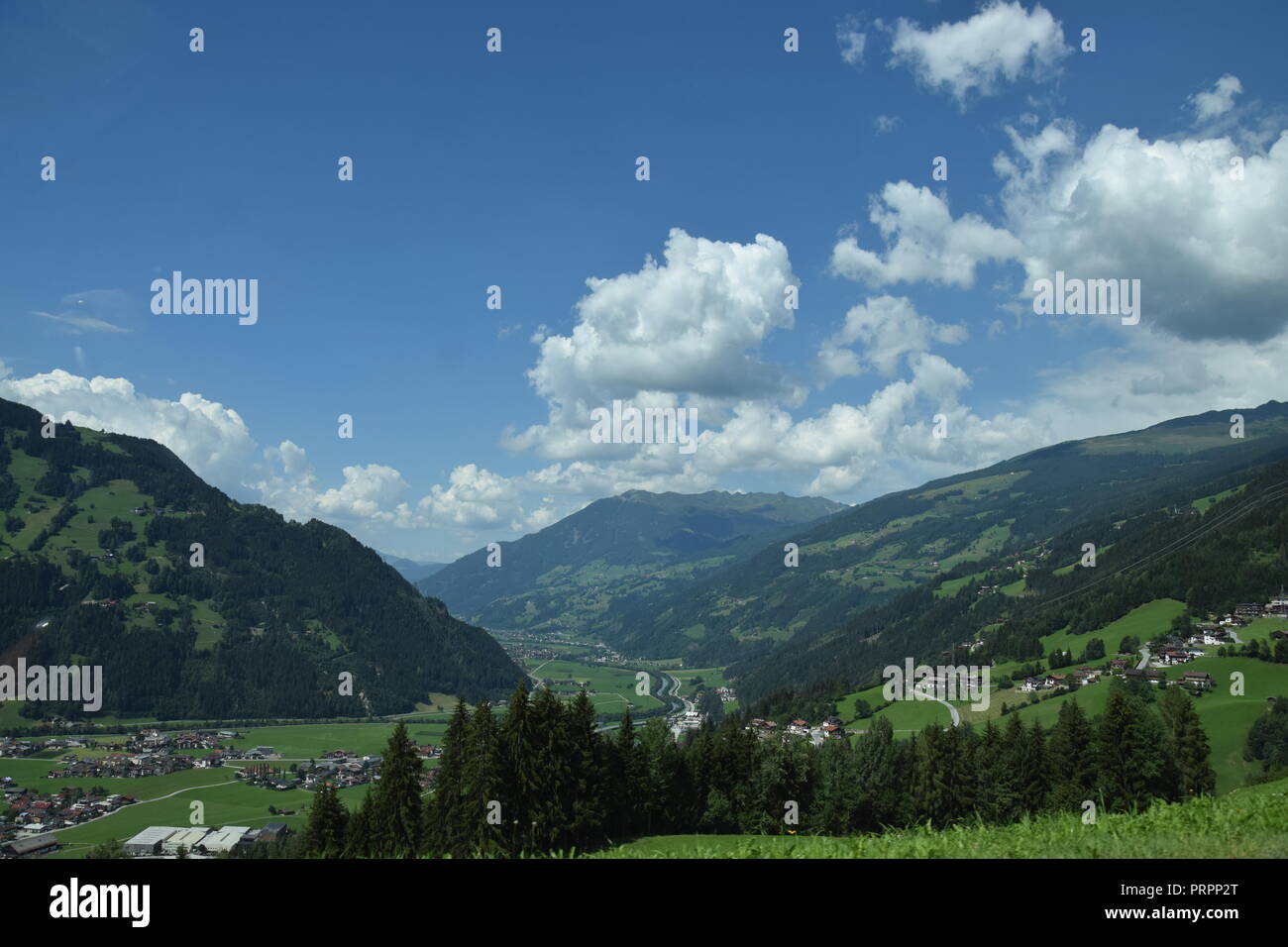 nature in the austrian alps Stock Photo - Alamy