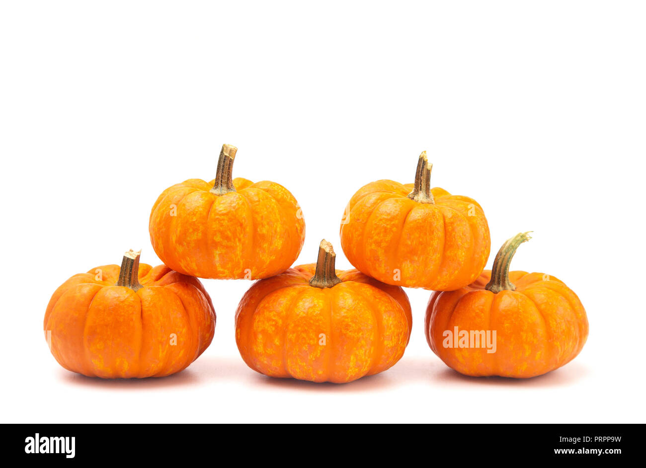 Five Little Pumpkins High Resolution Stock Photography and Images - Alamy