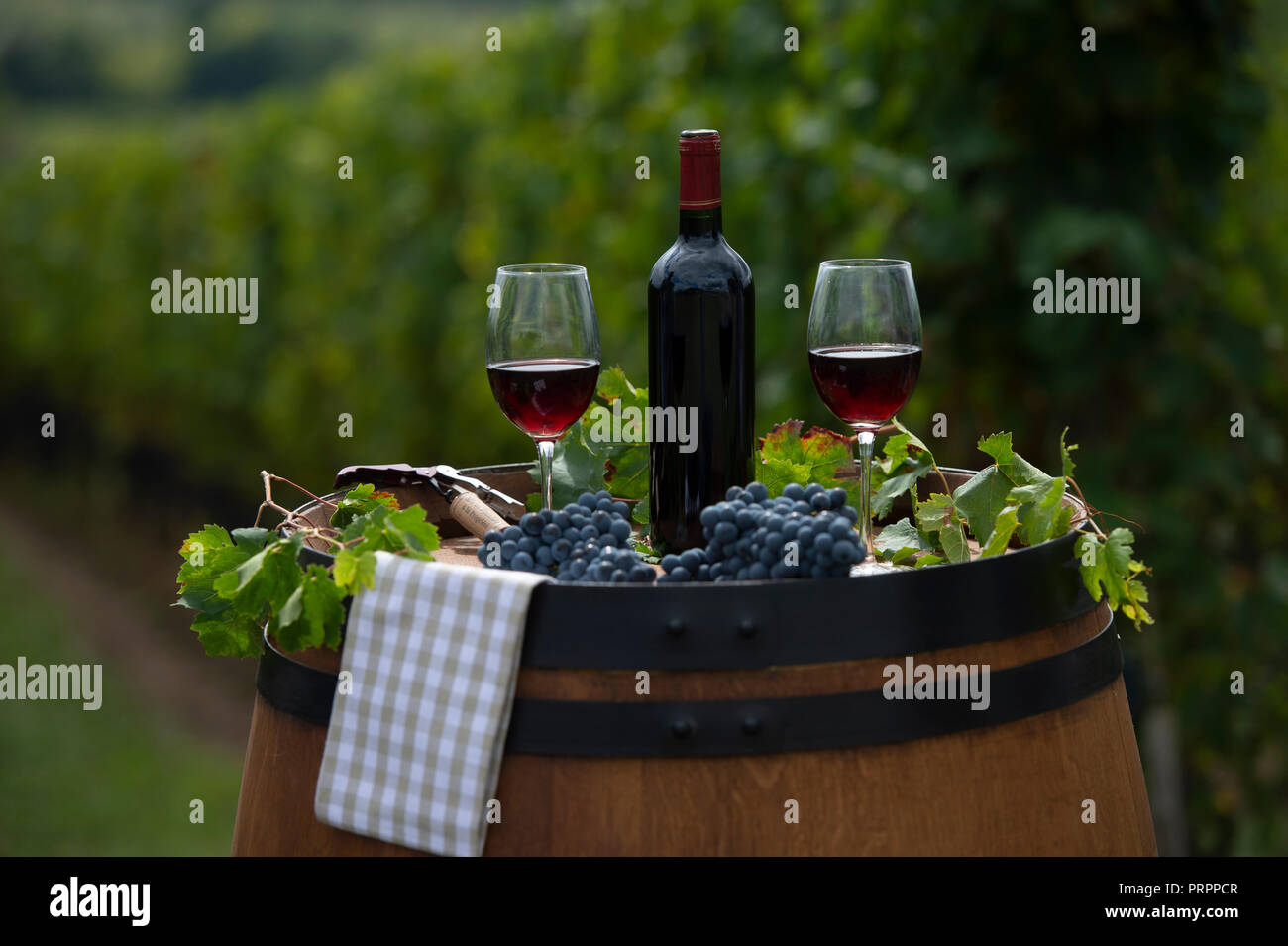 Pouring red wine into the glass, Barrel outdoor in Bordeaux Vineyard ...