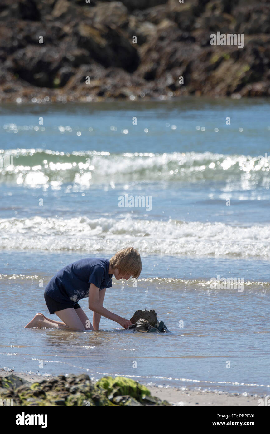 Shoring hi-res stock photography and images - Alamy