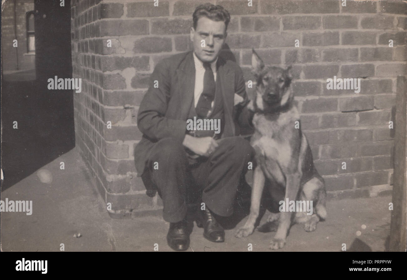 Black alsatian hi-res stock photography and images - Alamy