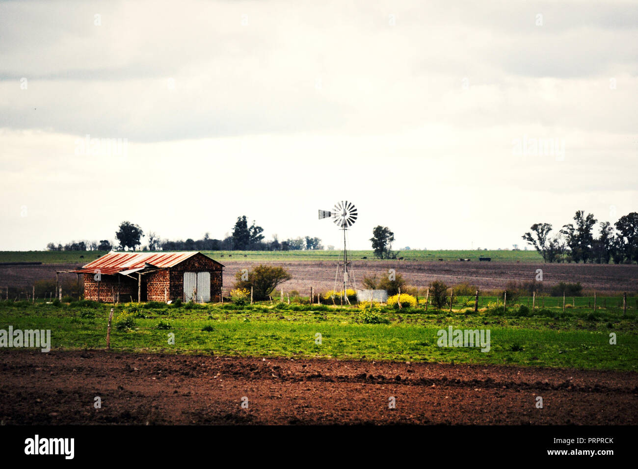 Windmill countryside argentina hi-res stock photography and images - Alamy