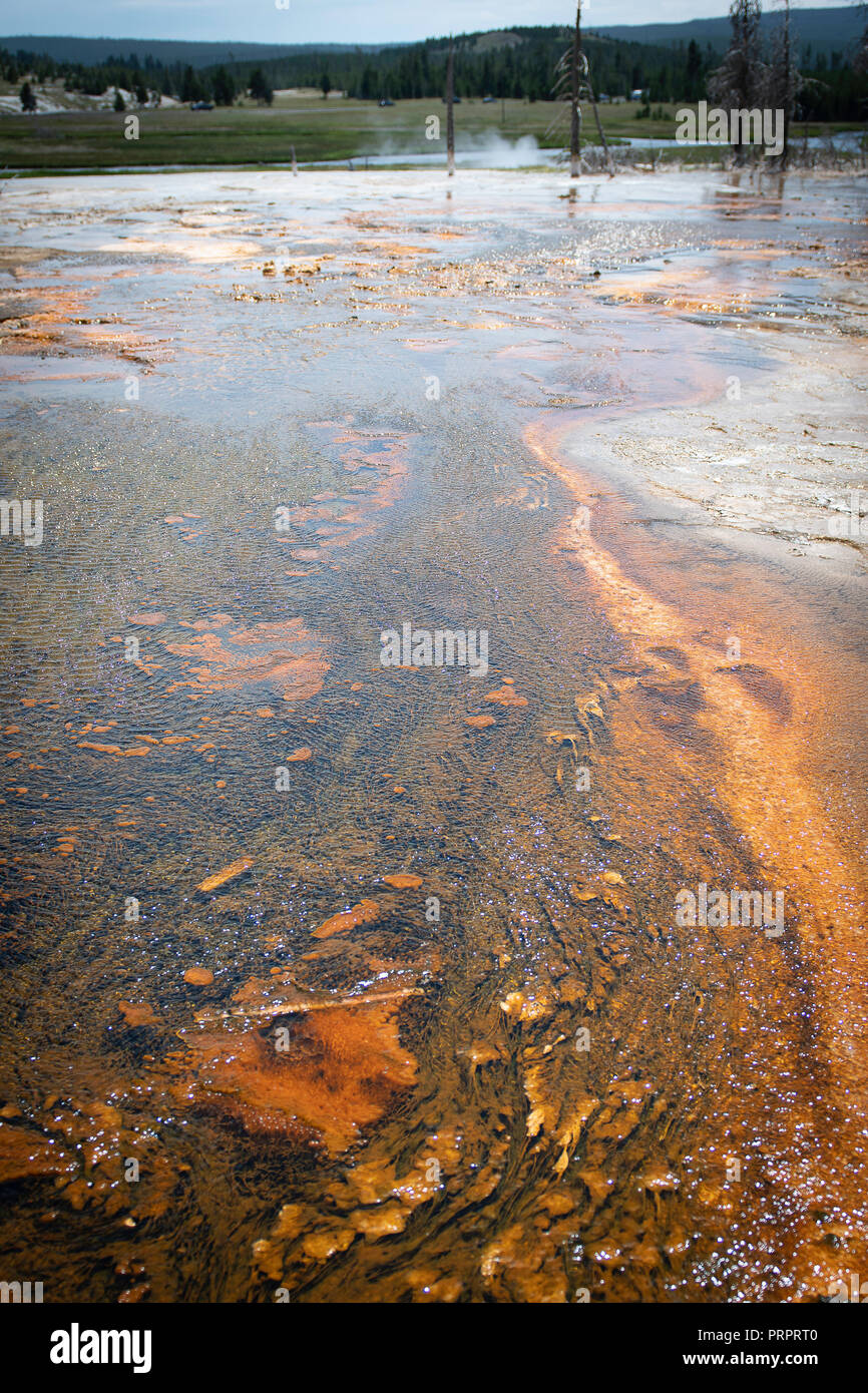 Experience yellowstone hi-res stock photography and images - Alamy