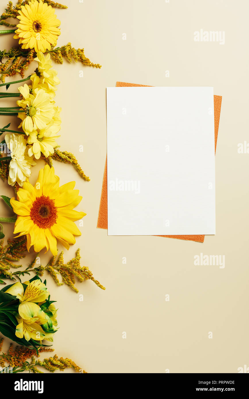 Orange cards hi-res stock photography and images - Alamy
