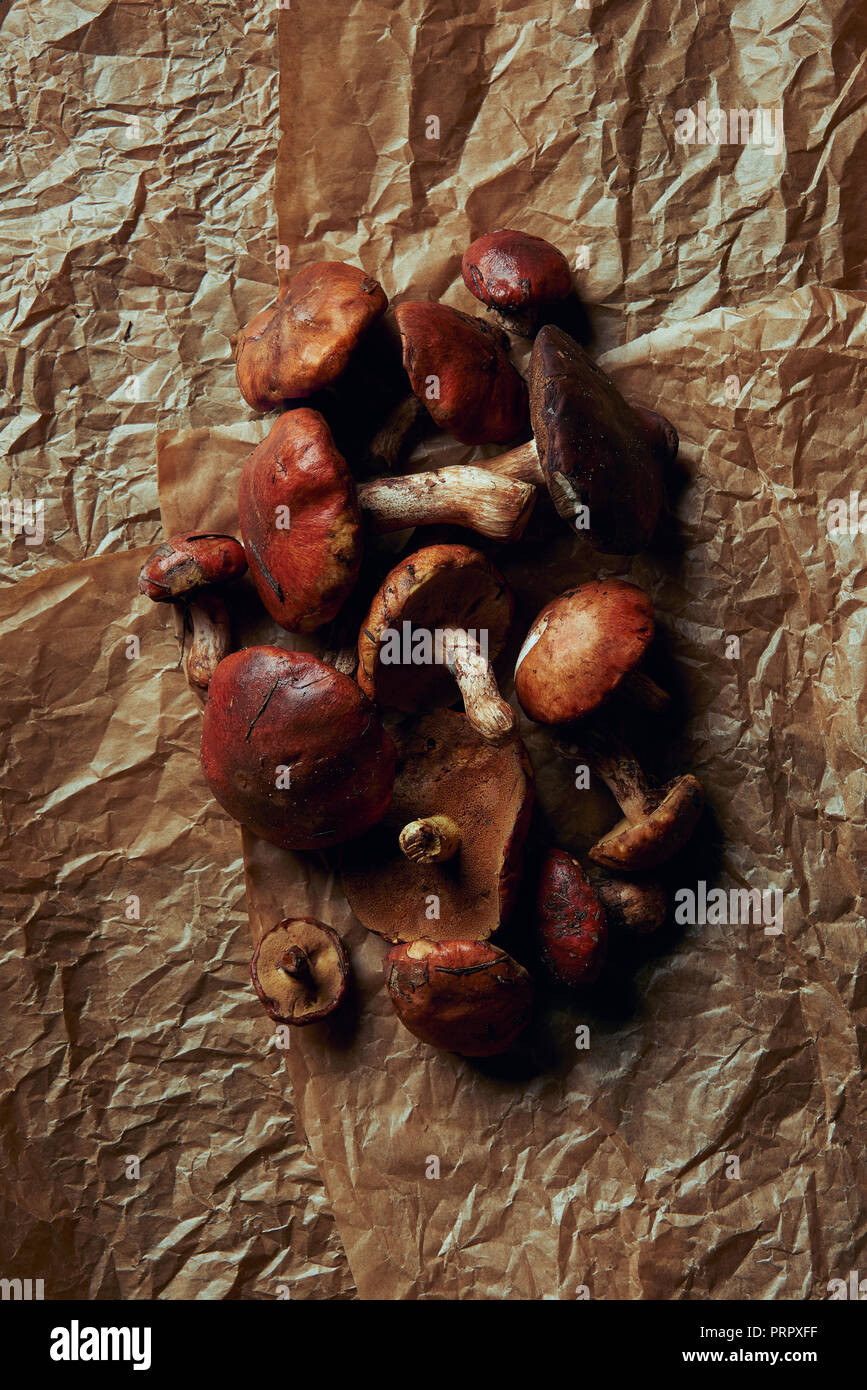 top view of fresh raw edible suillus mushrooms on parchment paper Stock ...