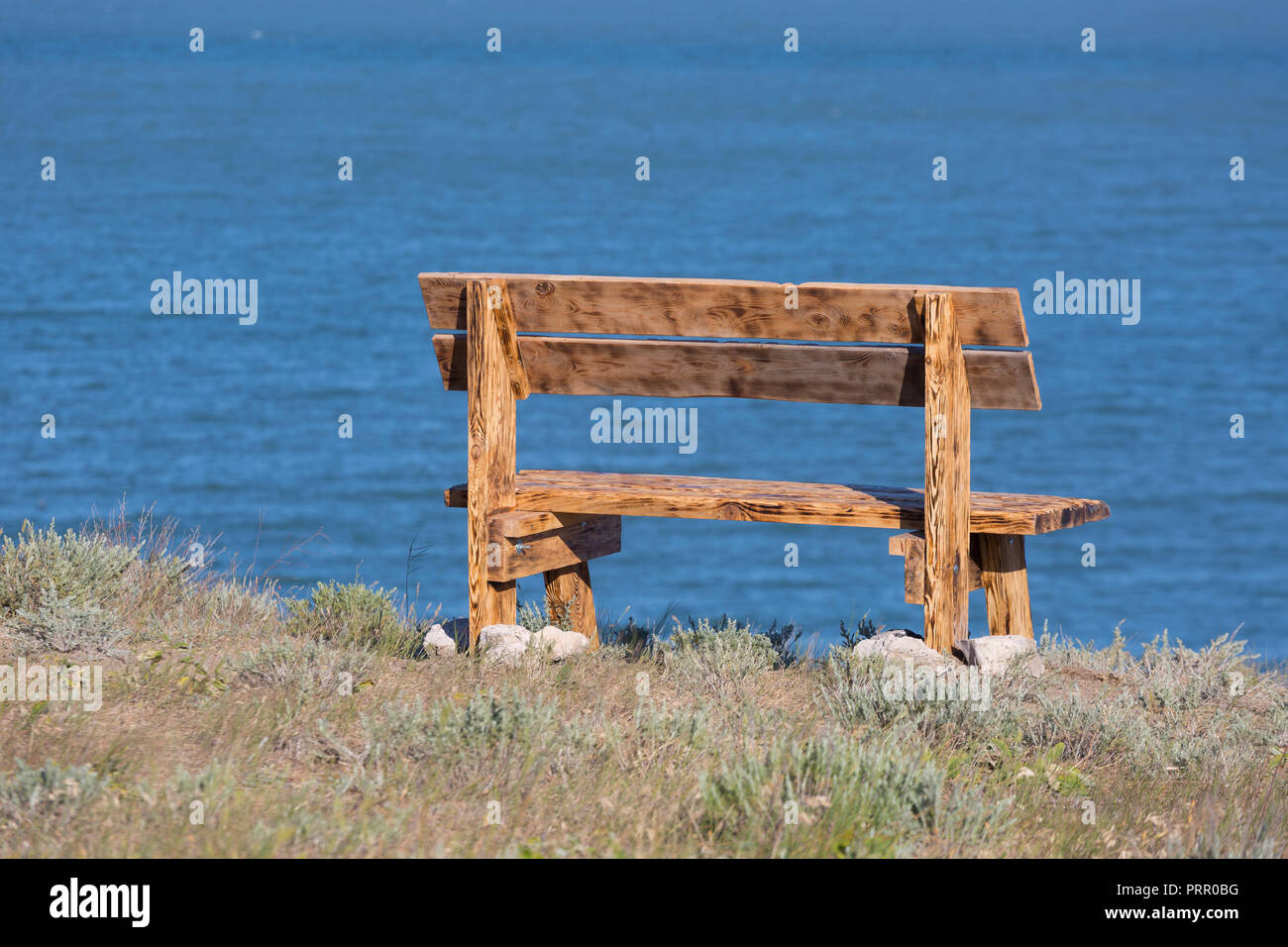 Empty bench near pond hi-res stock photography and images - Alamy
