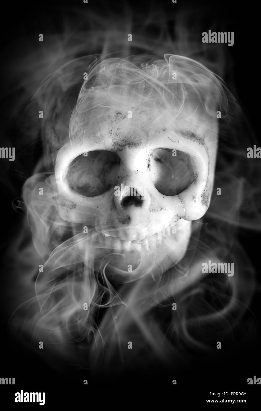 Skeleton skull emerging from a cloud of smoke / high contrast image ...