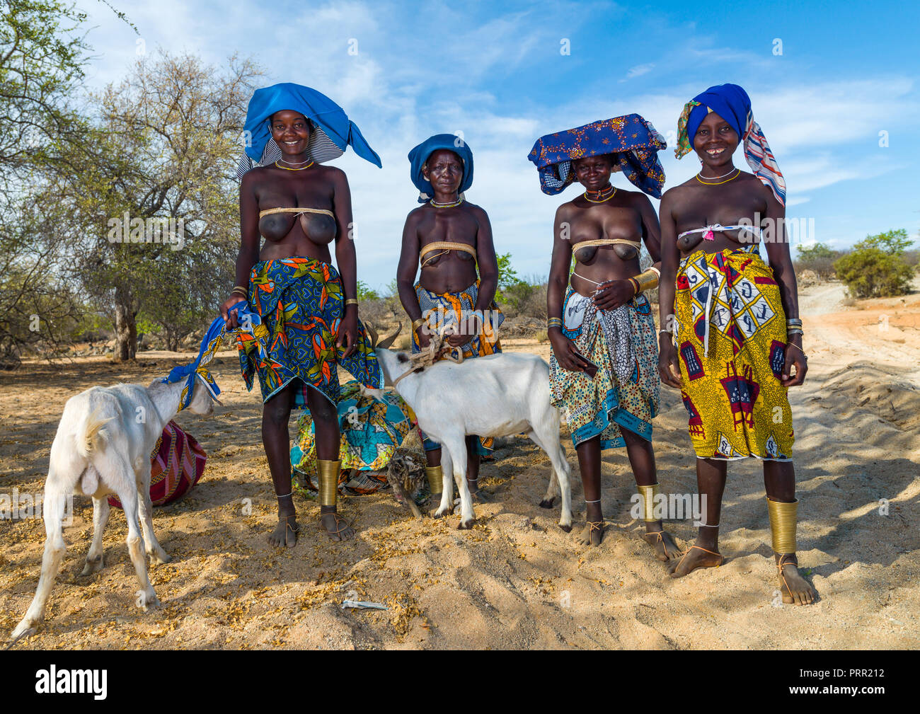 Mucubal tribe women going to market with goats, Namibe Province, Virei ...