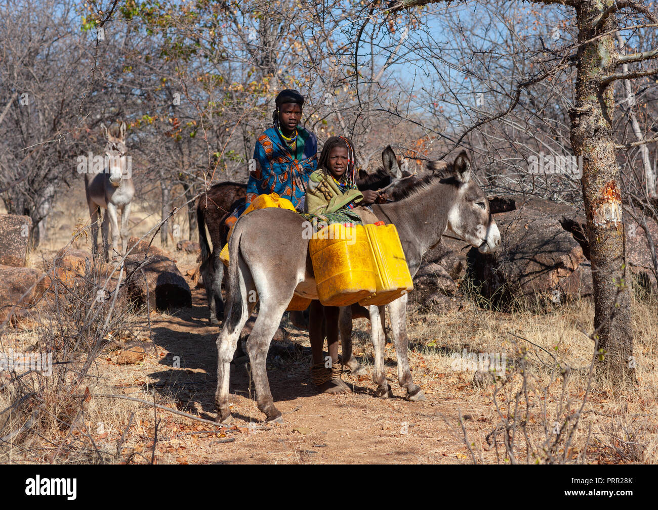 Donkey carrying water hi-res stock photography and images - Alamy