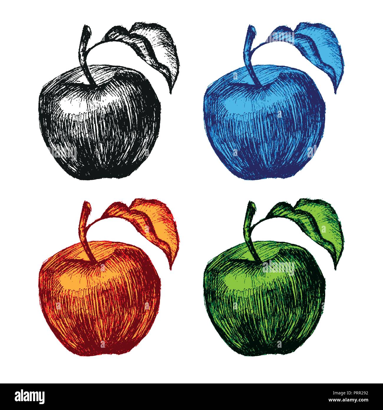 Pencil sketch apple Stock Vector Images - Alamy