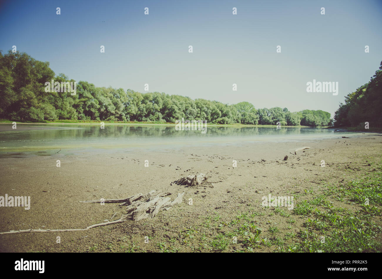 Muddy pond hi-res stock photography and images - Alamy