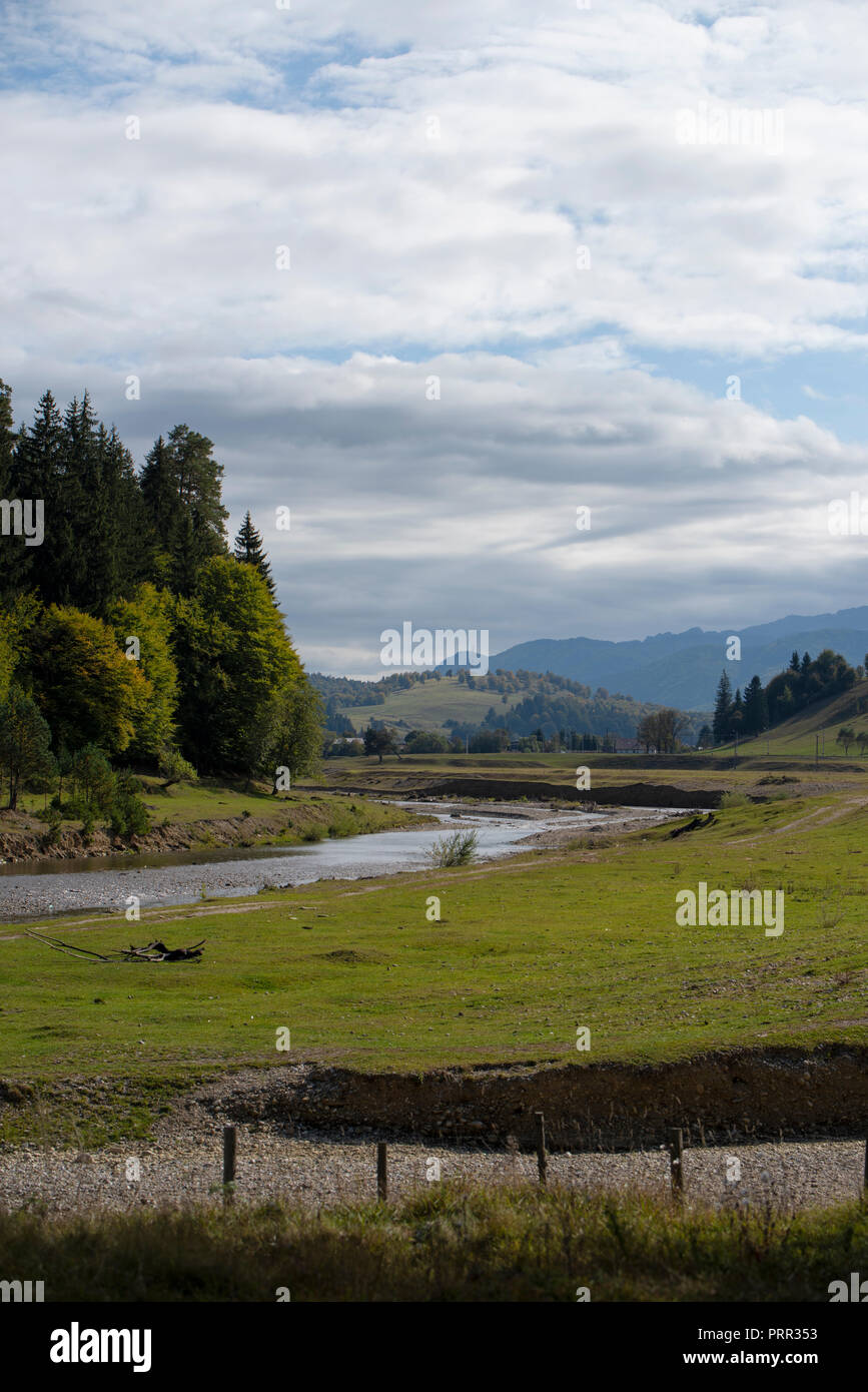 Amazing view of green grass and trees next to a river. National park in ...