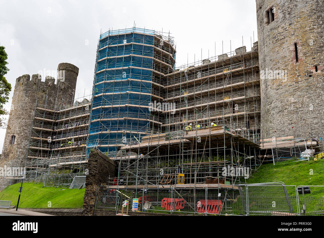 Scaffolding work. At Conwy Castle. North Wales UK Stock Photo - Alamy