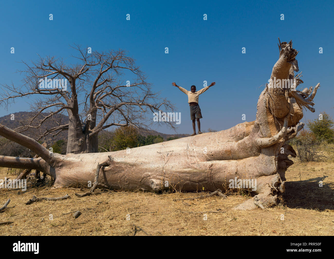 Angola angolan boy child High Resolution Stock Photography and Images ...