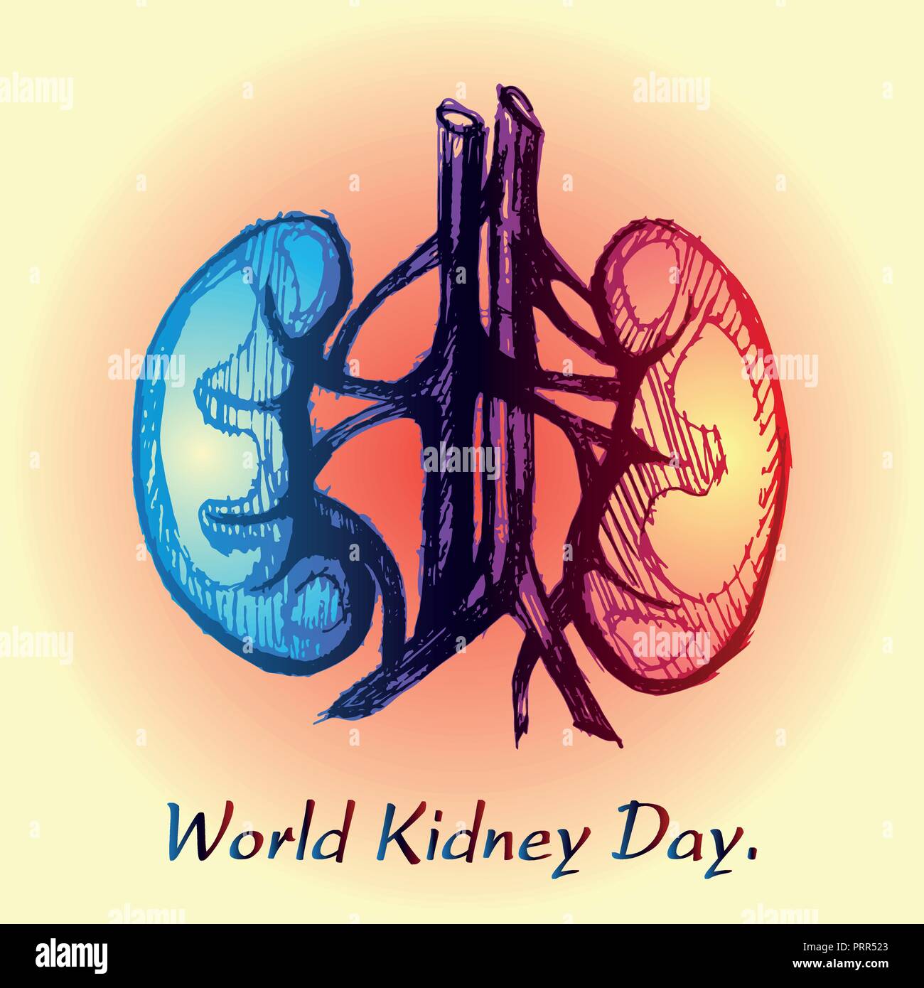 Kidney day vector Stock Vector Images - Alamy