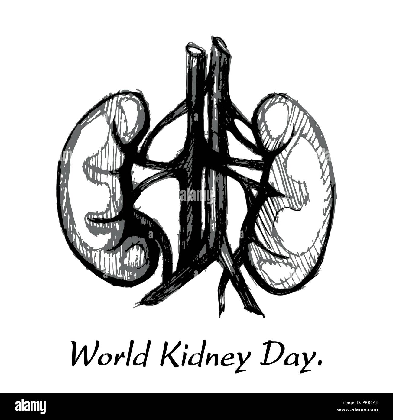 illustration of a Banner For World Kidney Day Stock Vector Image & Art ...