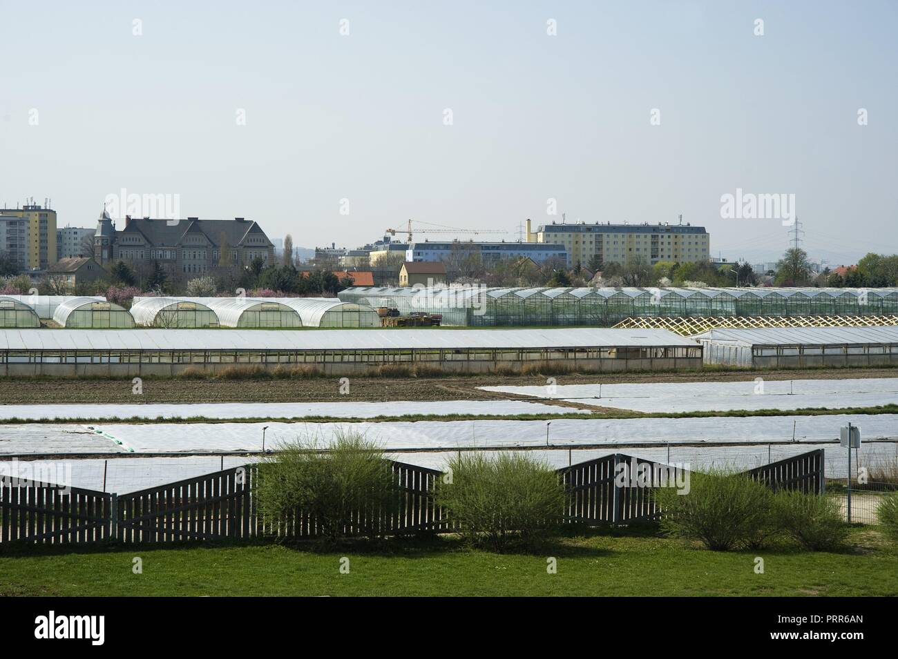 Wien, Gärtnereien am Stadtrand von Simmering - Vienna, Glass Houses ...