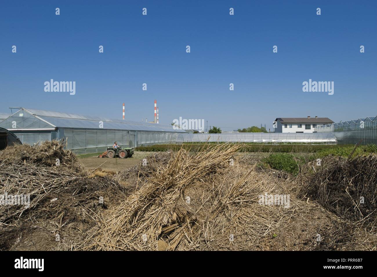 Wien, Gärtnereien am Stadtrand von Simmering - Vienna, Glass Houses ...