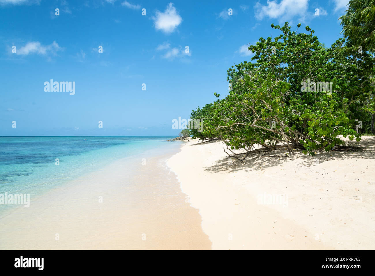Beach "La Plage du Souffleur" in Port Louis, Guadeloupe Stock Photo - Alamy