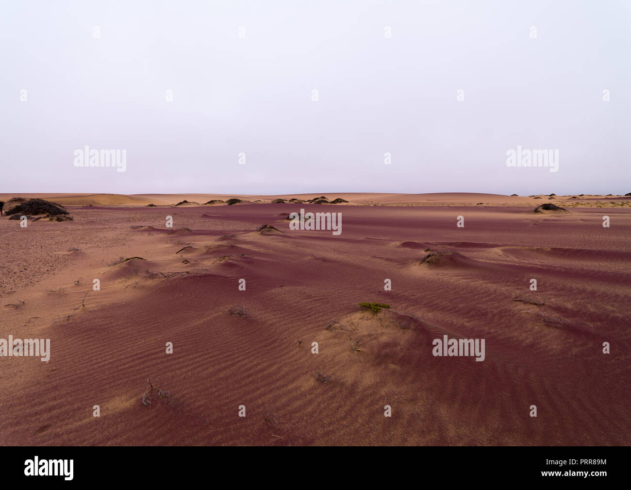Pink sand in the namib desert, Namibe Province, Iona National Park, Angola Stock Photo - Alamy