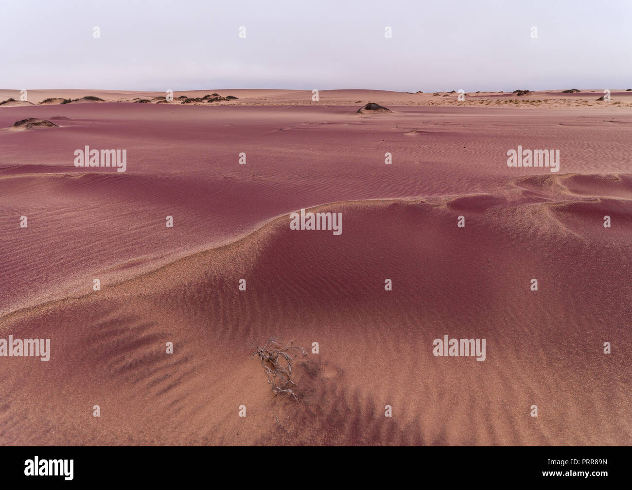 Pink sand in the namib desert, Namibe Province, Iona National Park, Angola Stock Photo - Alamy