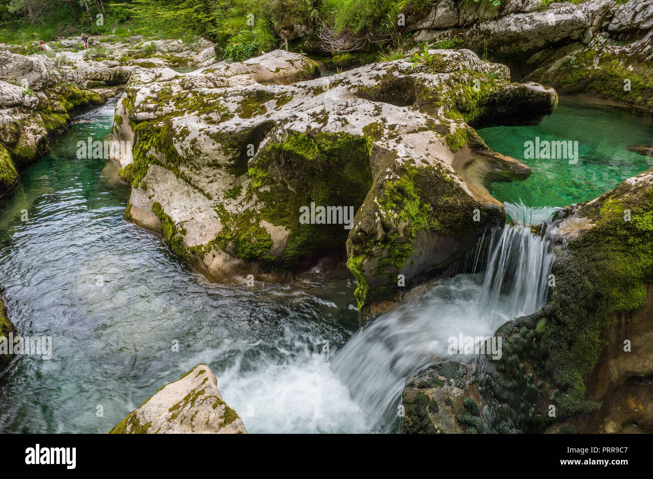 Mostnica Gorge and Waterfall in the Voje valley Triglavski National ...