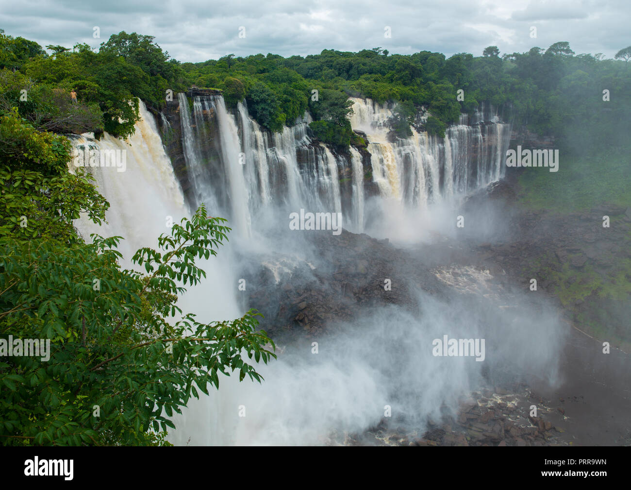 Angola forest hi-res stock photography and images - Alamy