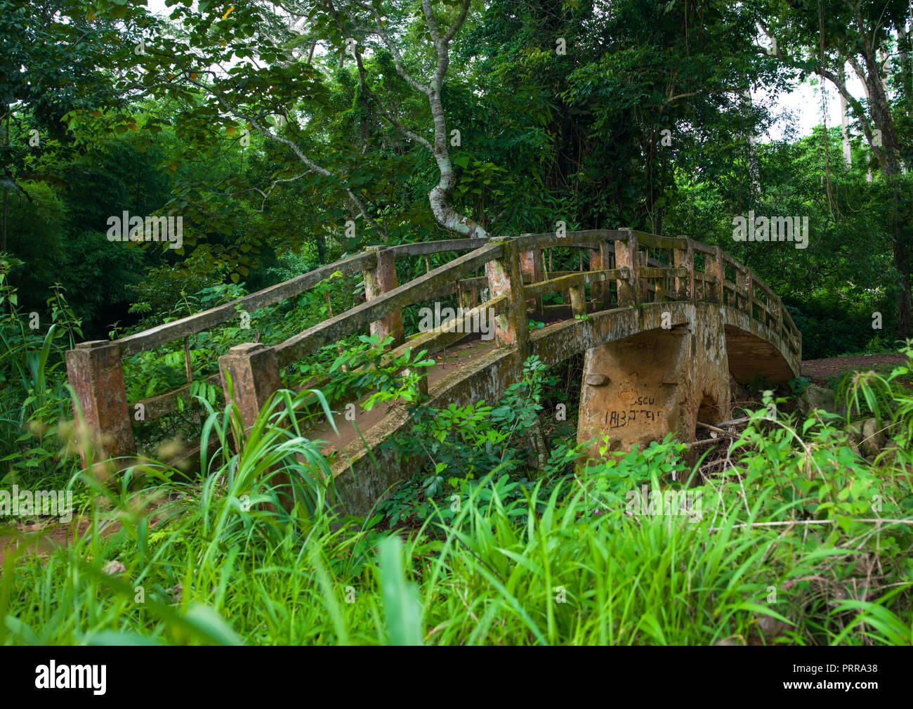 Bridge in the botanical garden, Cuanza Norte, N'dalatando, Angola Stock ...