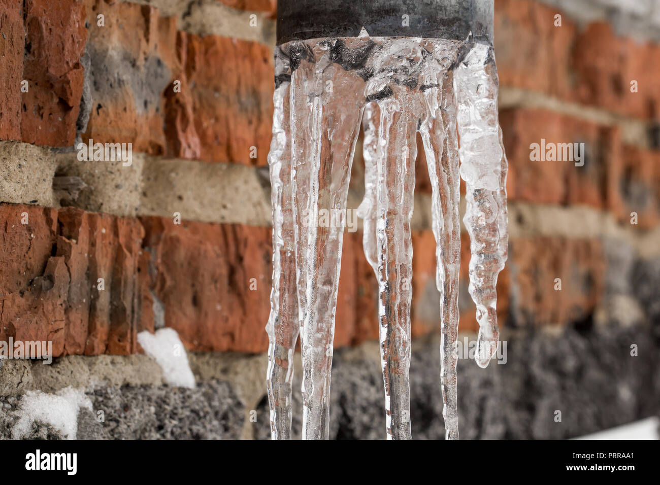 Natural icicles hanging on the pipe, the concept of winter Stock Photo ...