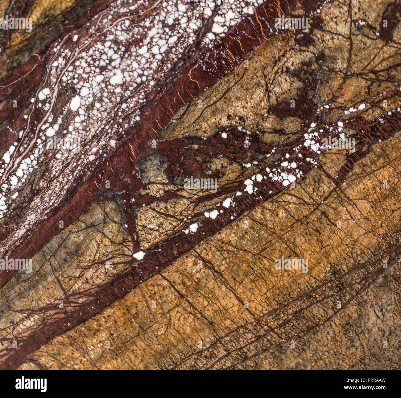 natural beautiful marble in dark and warm colors, contrasting rich ...