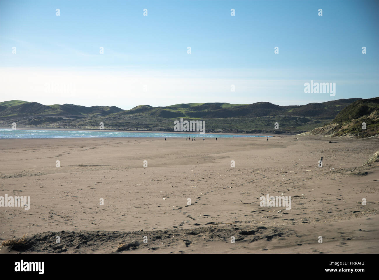 Beautiful Beaches in Raglan, Waikato, North Island, New Zealand Stock ...