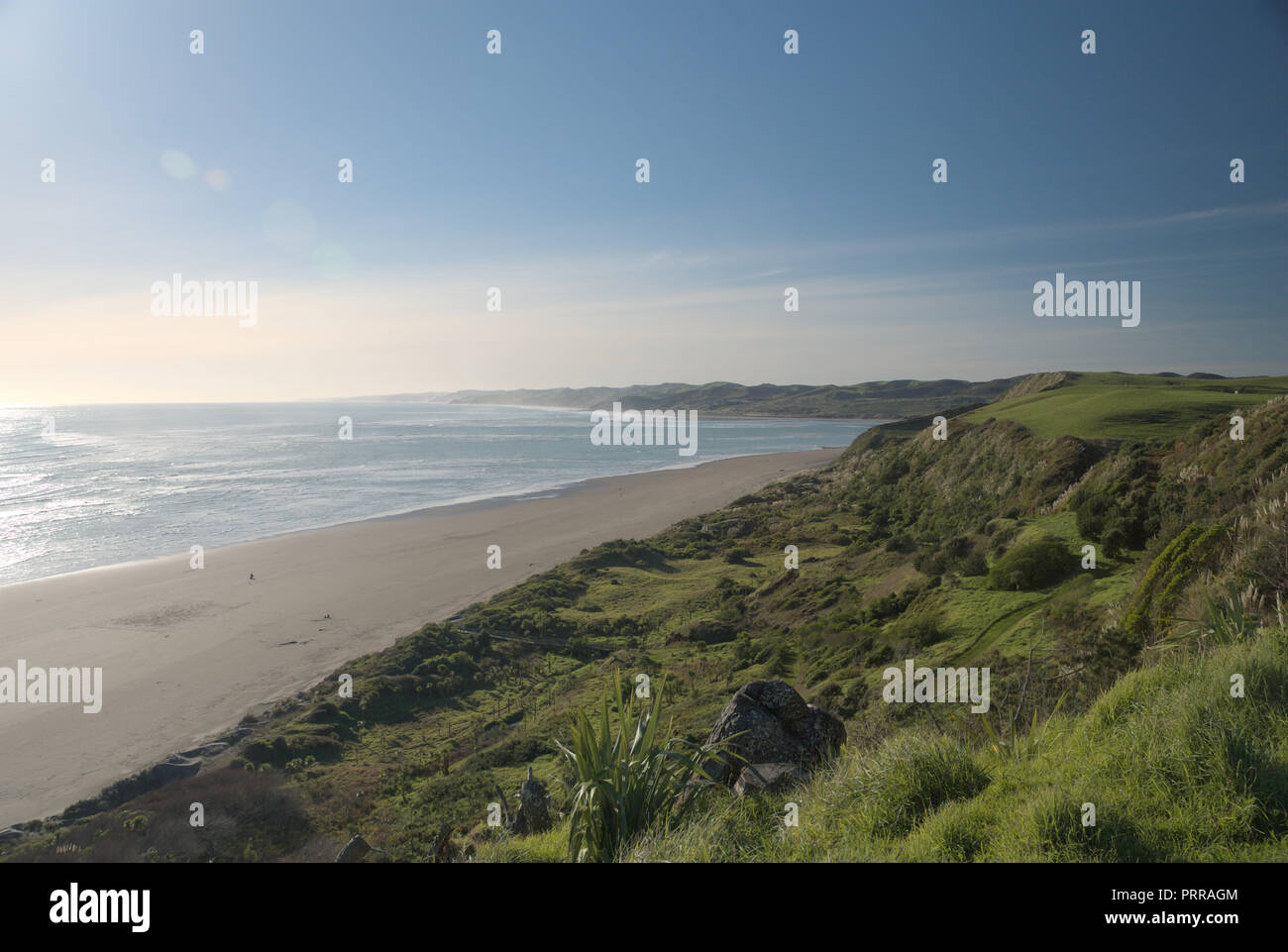 Beautiful Beaches in Raglan, Waikato, North Island, New Zealand Stock ...