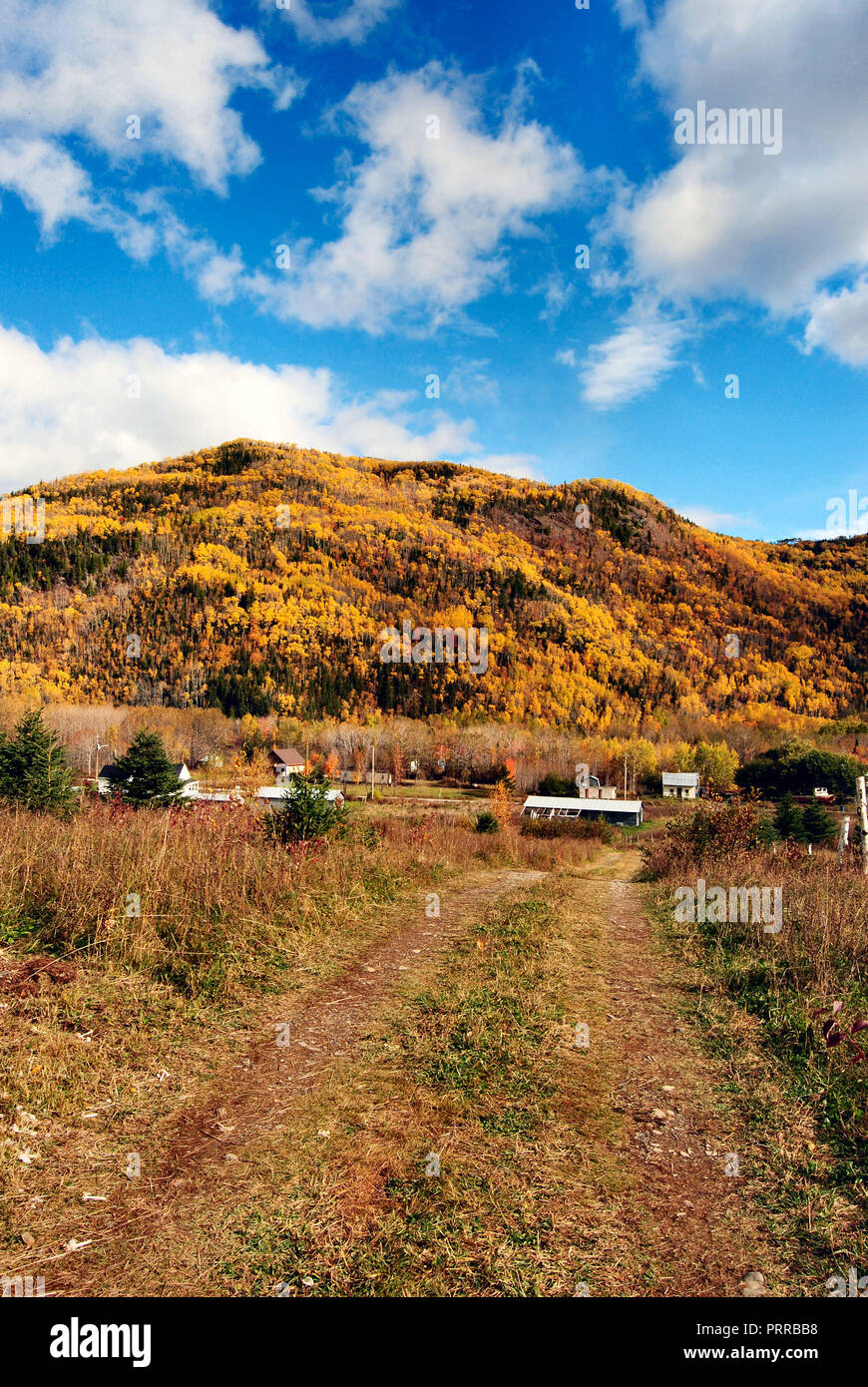 The majestic and bright yellow and brown mountains of the valley of ...