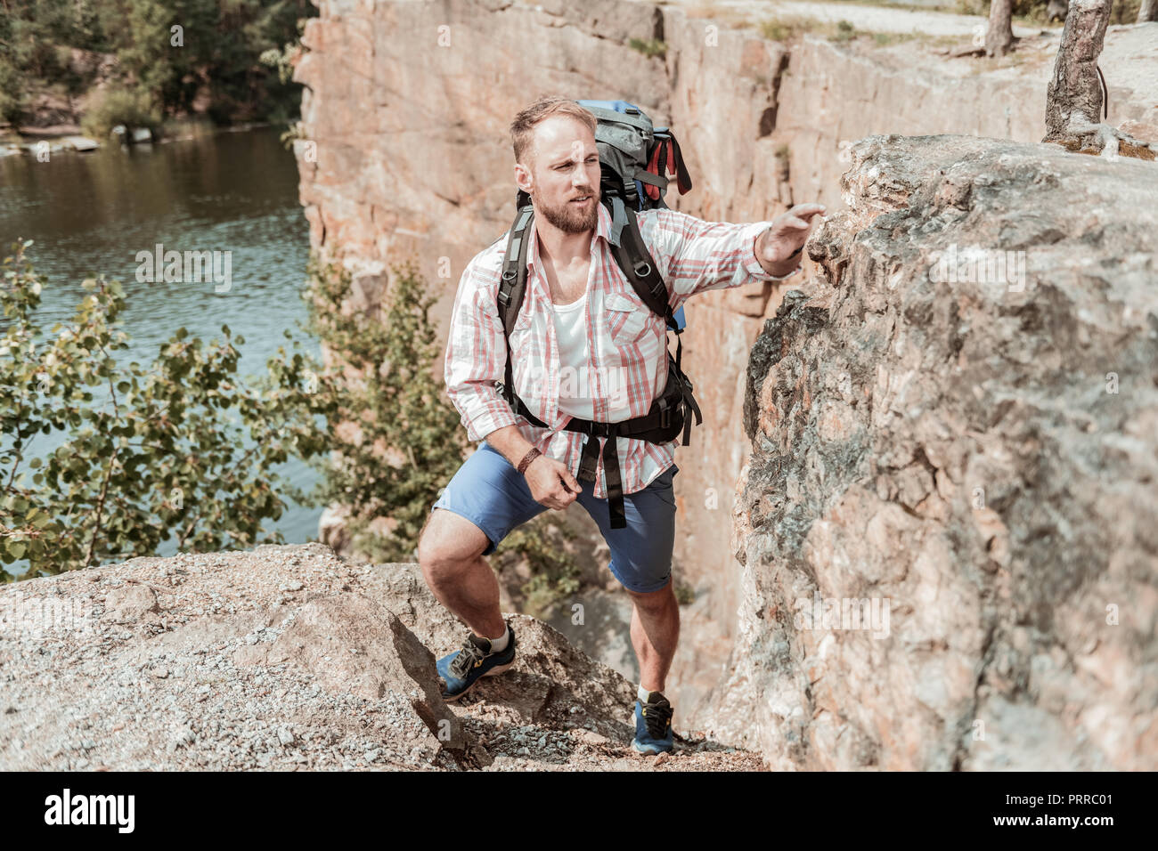 Strong tree route hi-res stock photography and images - Alamy