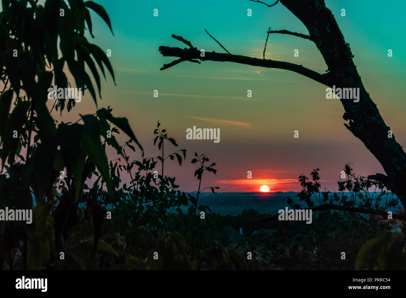 Photography nature background hd hi-res stock photography and images ...