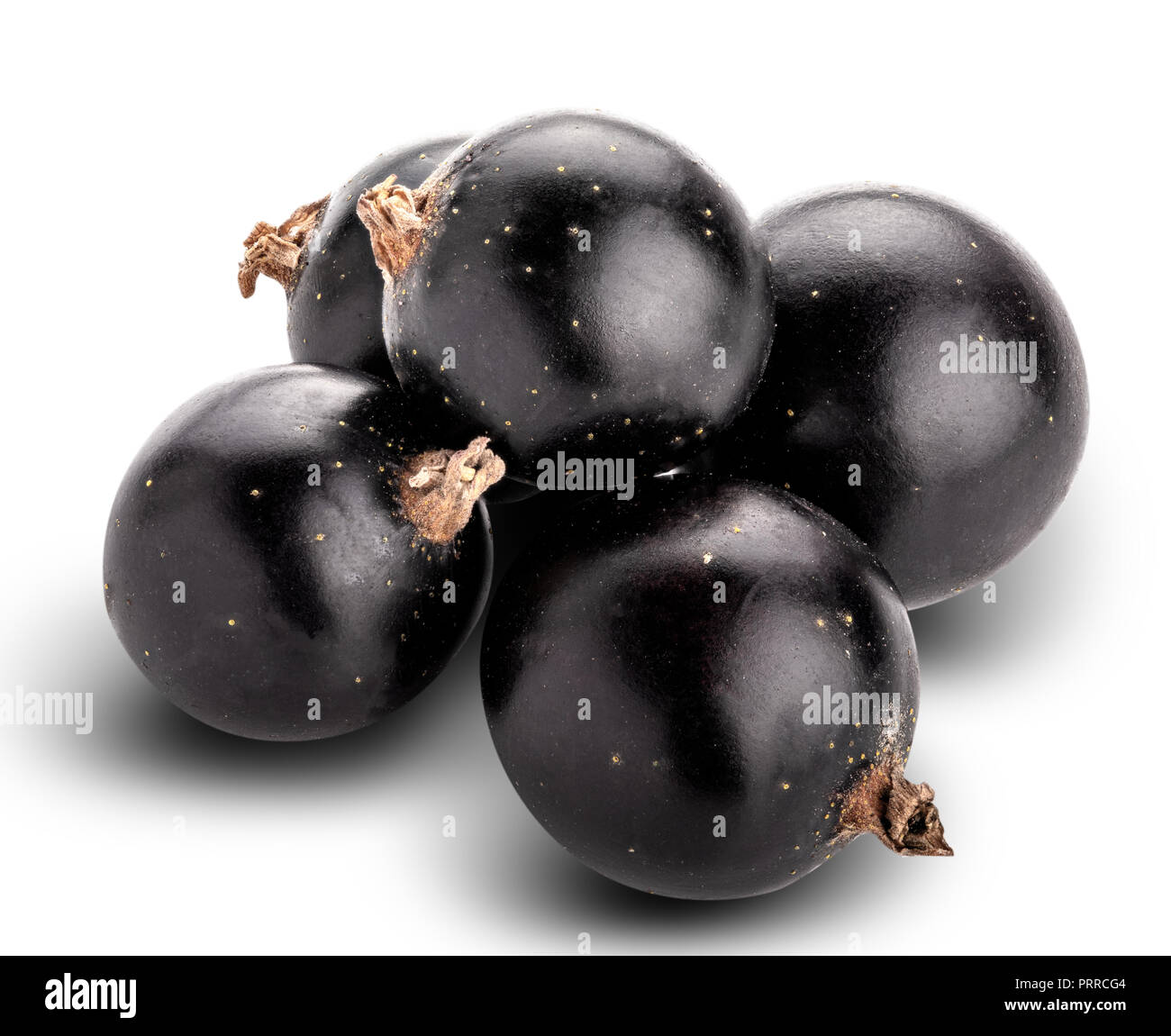 Fresh blackcurrant isolated on white background Stock Photo - Alamy
