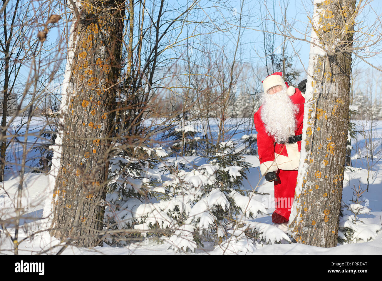 Santa Claus comes with gifts from the outside. Santa in a red su Stock ...