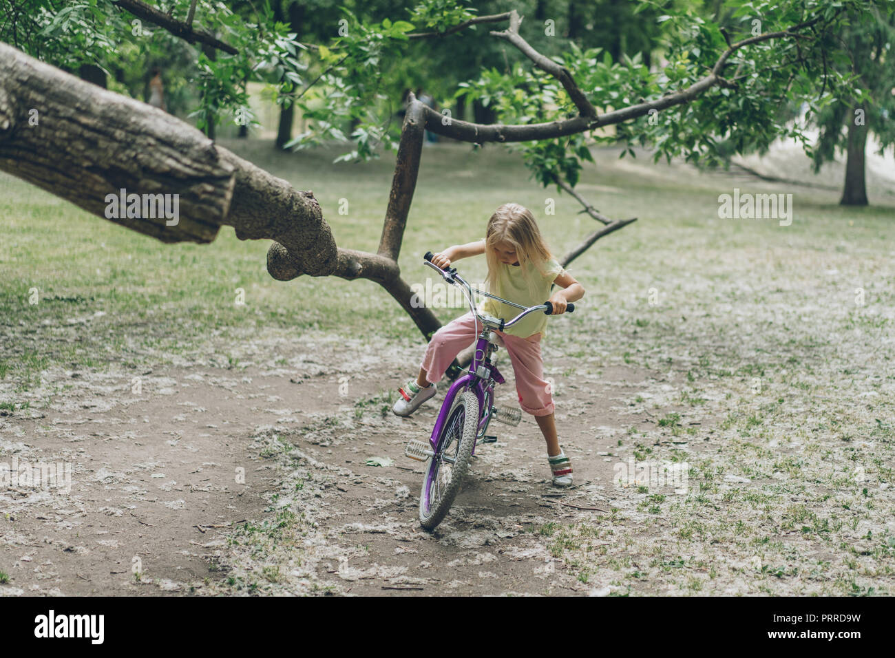 kid with bicycle standing near tree branch in park Stock Photo - Alamy