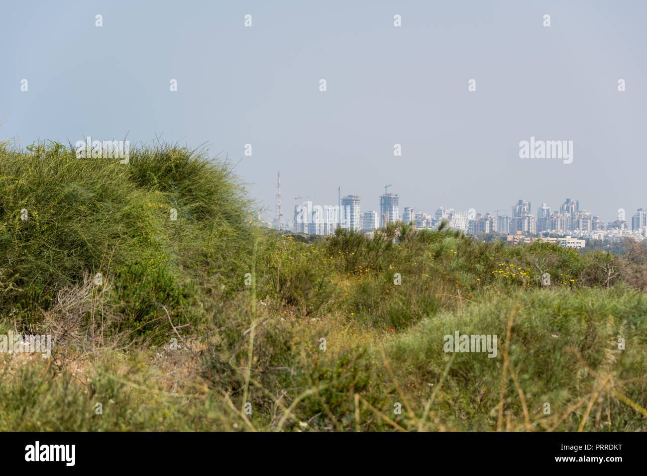 At Sharon Beach National Park, Sharon area, Israel Stock Photo - Alamy