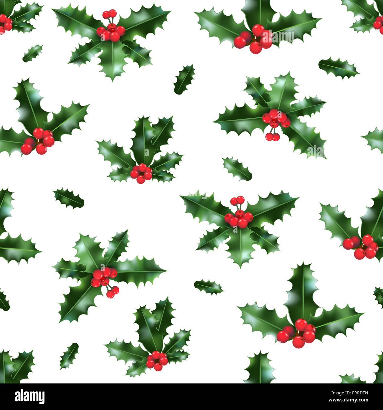 Holly isolated pattern Stock Vector Image & Art - Alamy