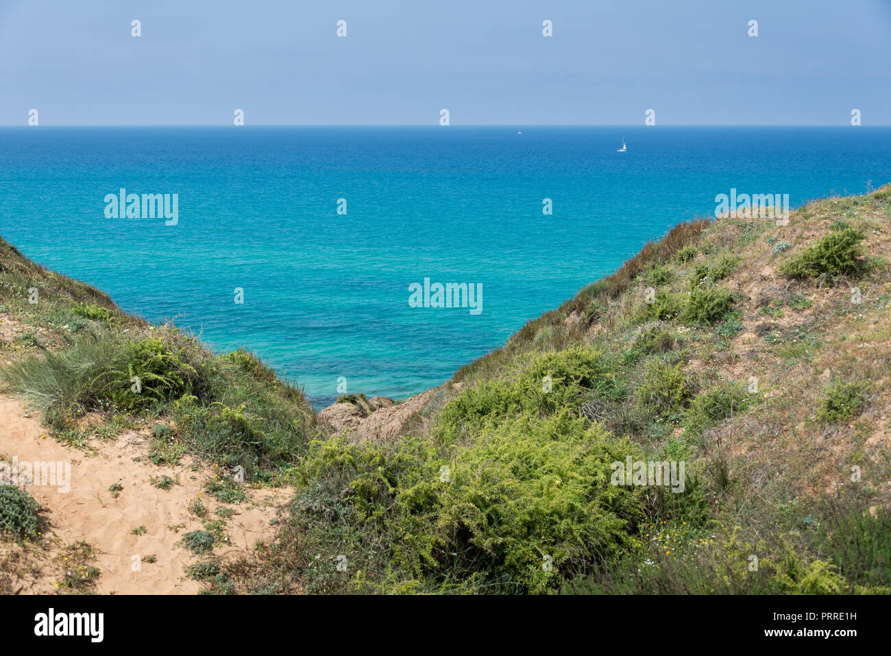 Hasharon park hi-res stock photography and images - Alamy