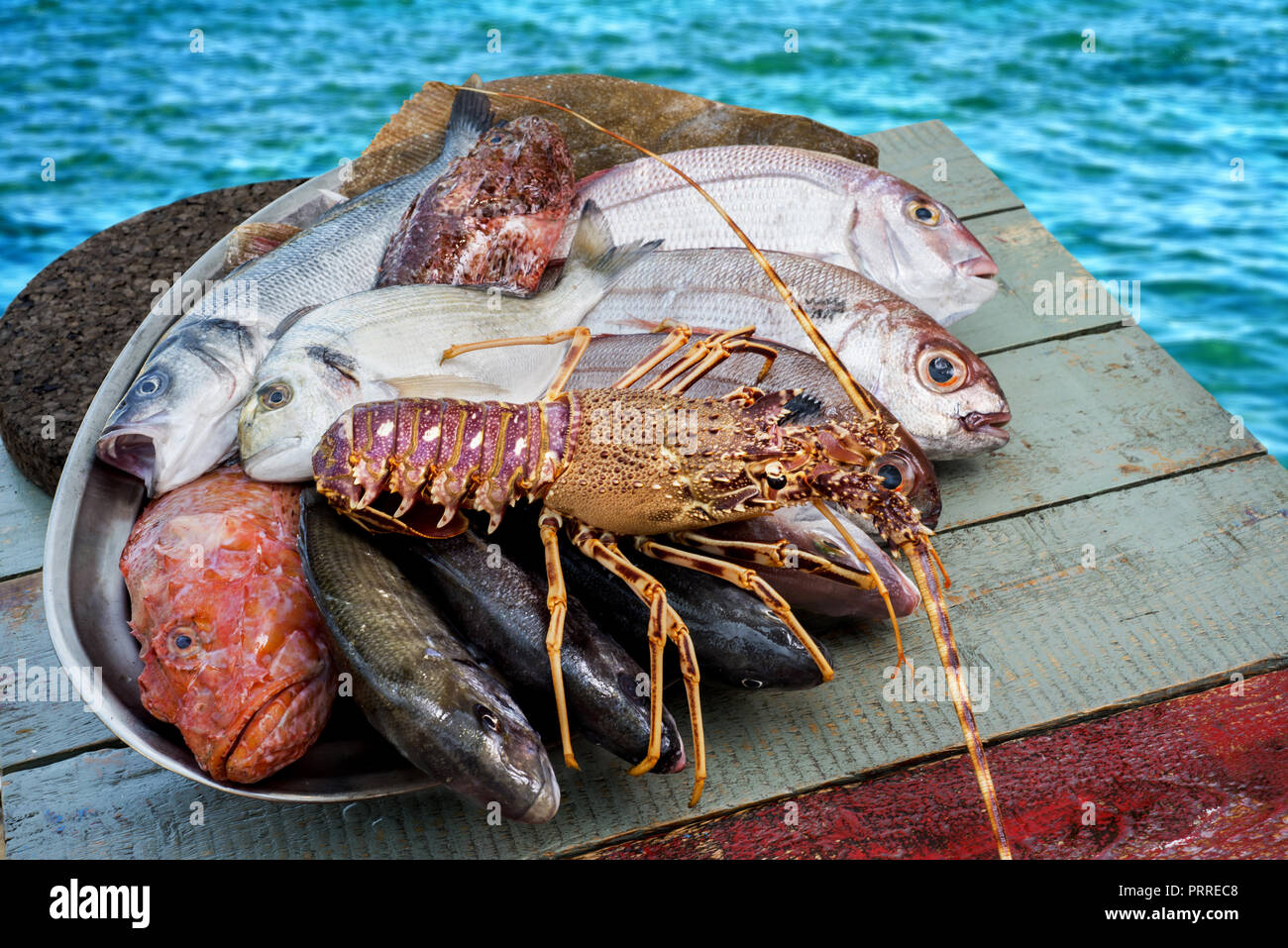 Tray of fresh fish in the sea Stock Photo - Alamy