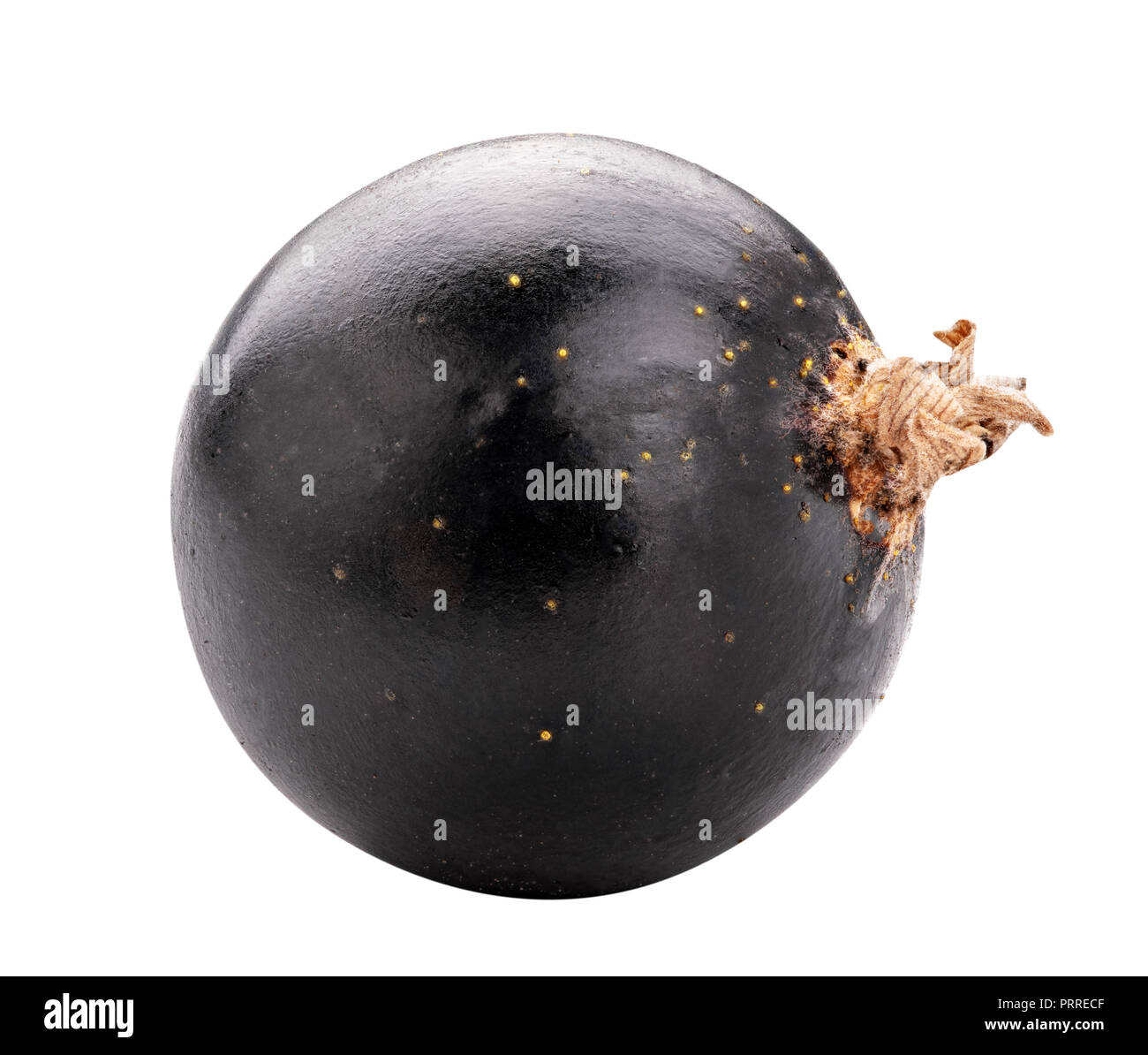 Fresh blackcurrant isolated on white background Stock Photo - Alamy