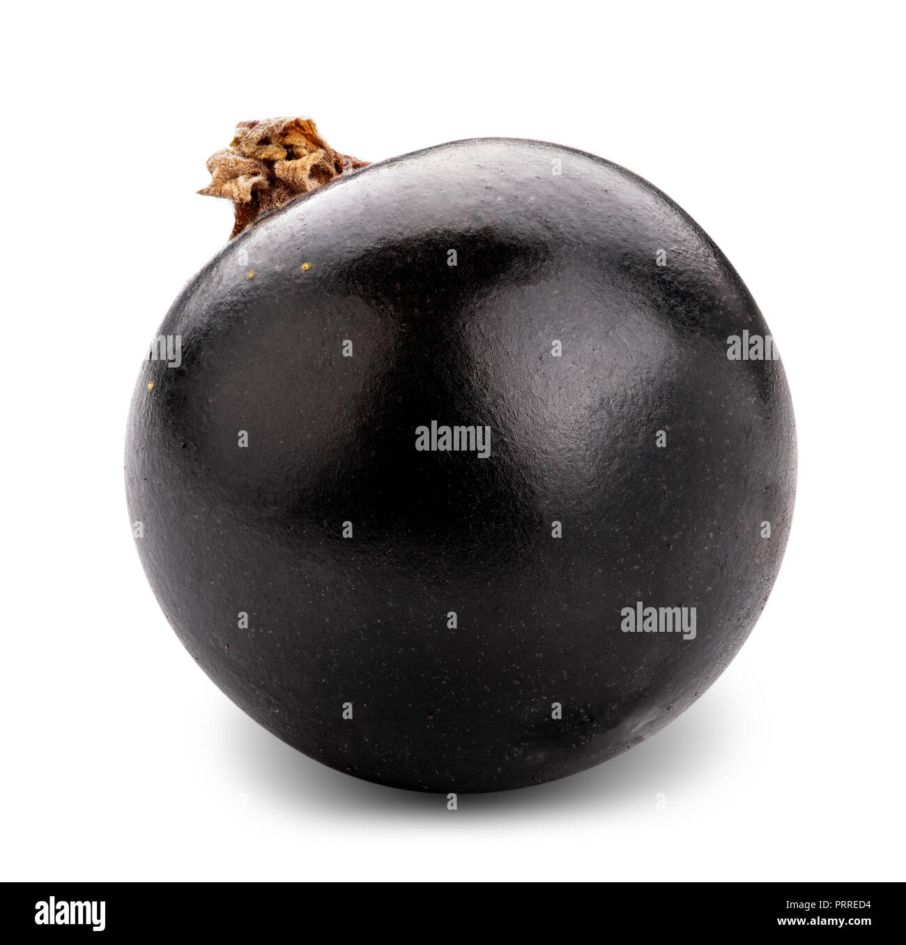 Fresh blackcurrant isolated on white background Stock Photo - Alamy