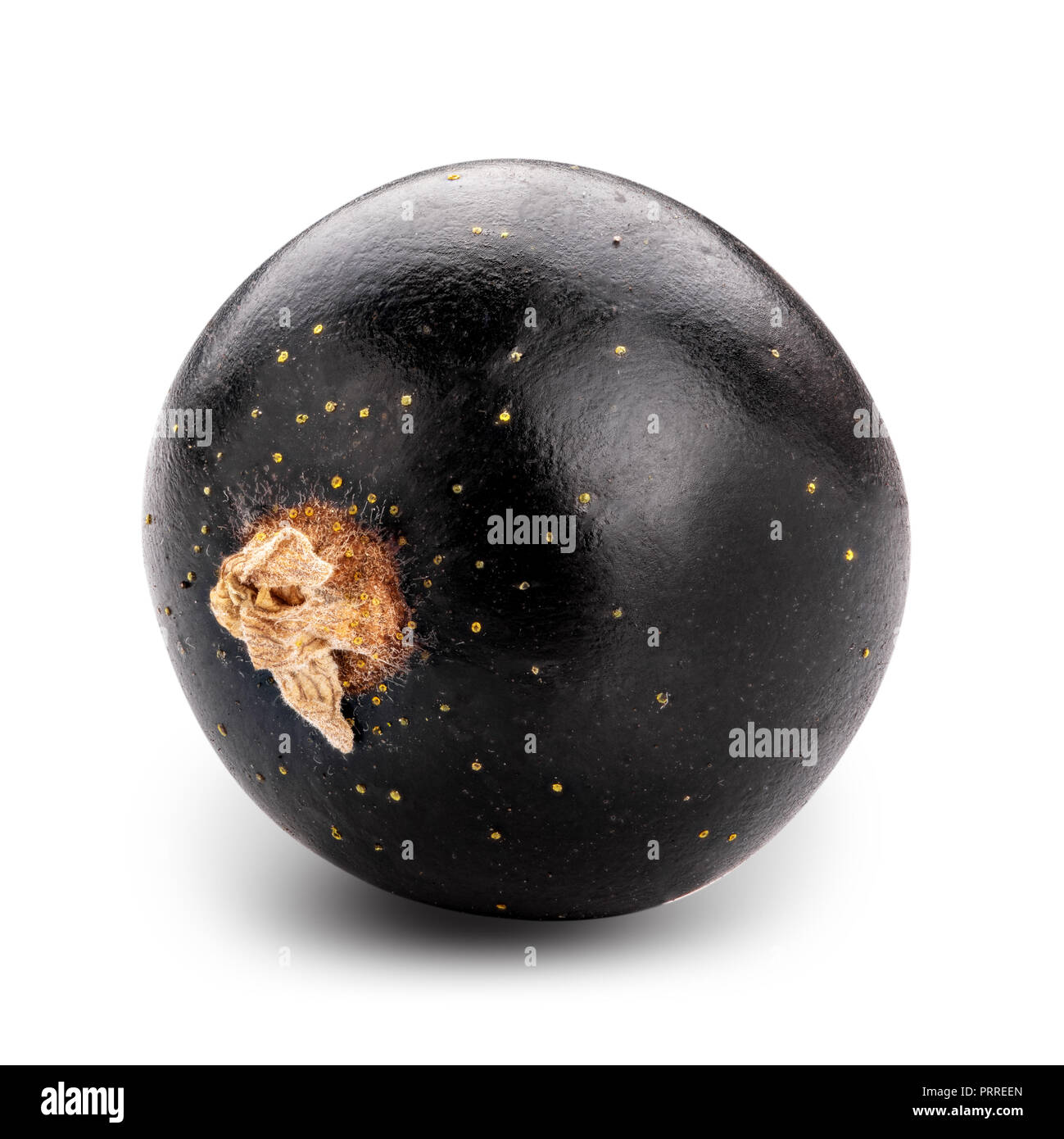 Fresh blackcurrant isolated on white background Stock Photo - Alamy