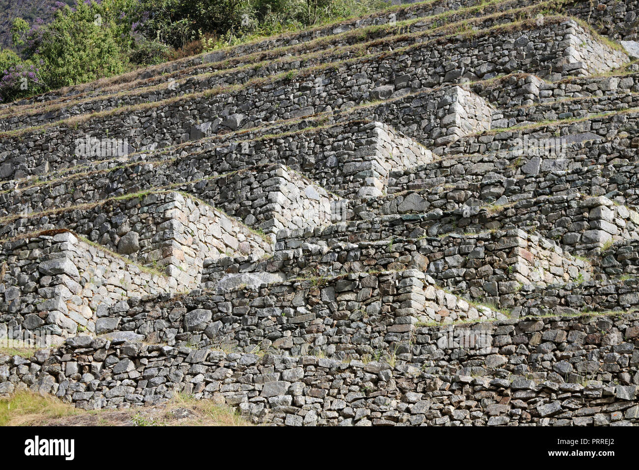 detail of Inca stone terraces Stock Photo - Alamy