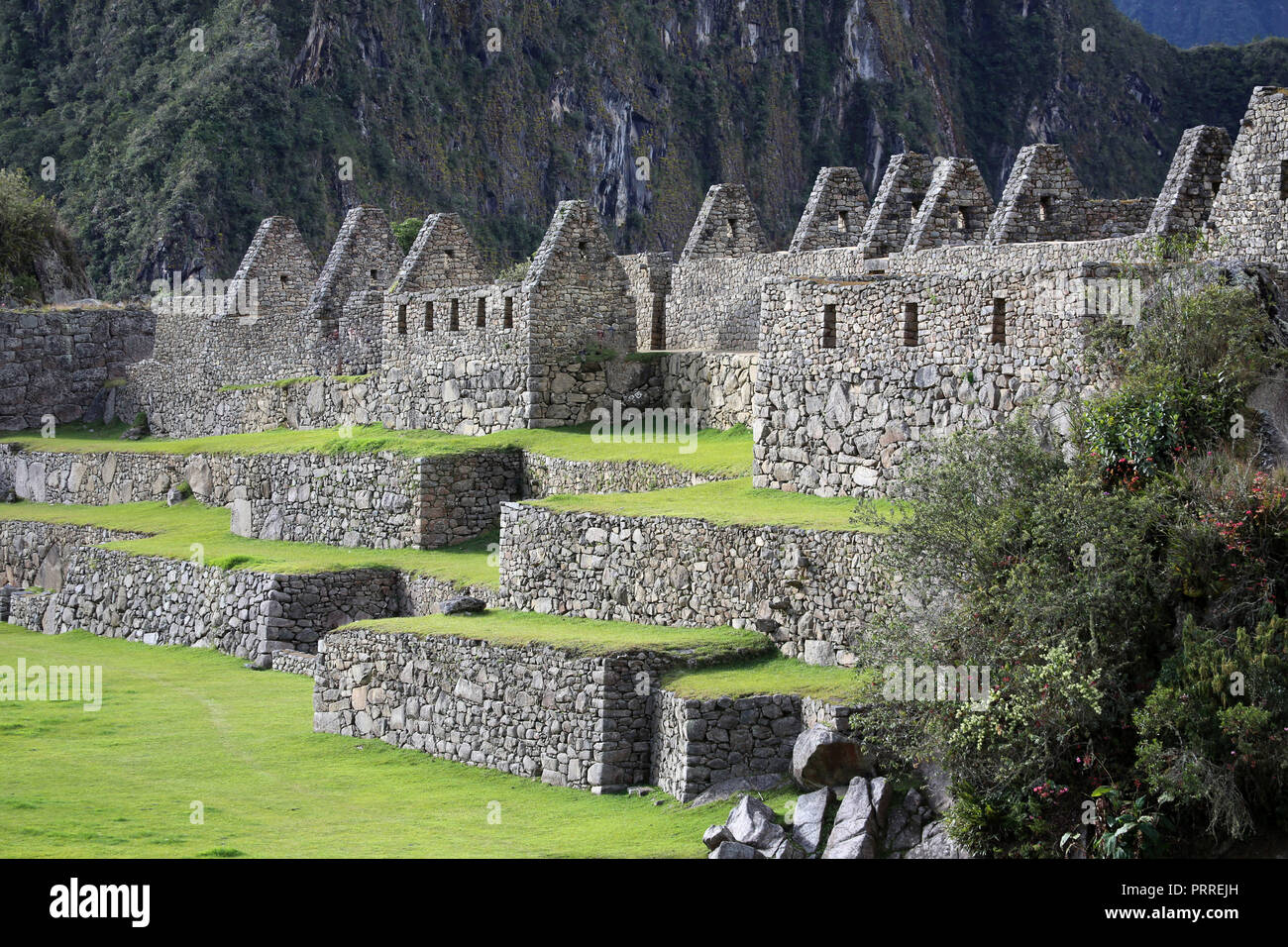 Inca stone ruins with bright green terraces Stock Photo - Alamy