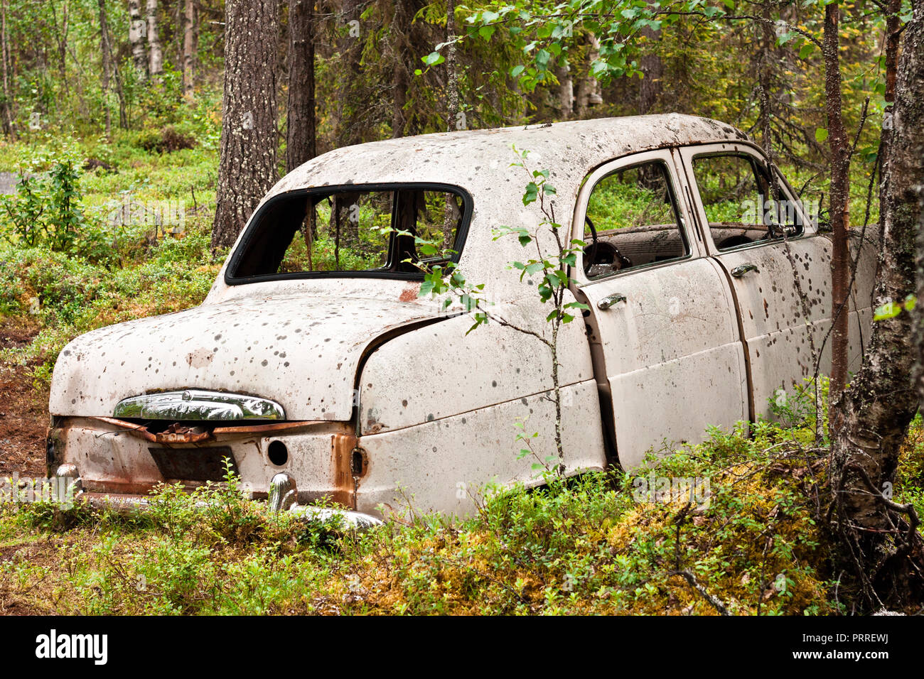 Abandoned car in forest hi-res stock photography and images - Alamy