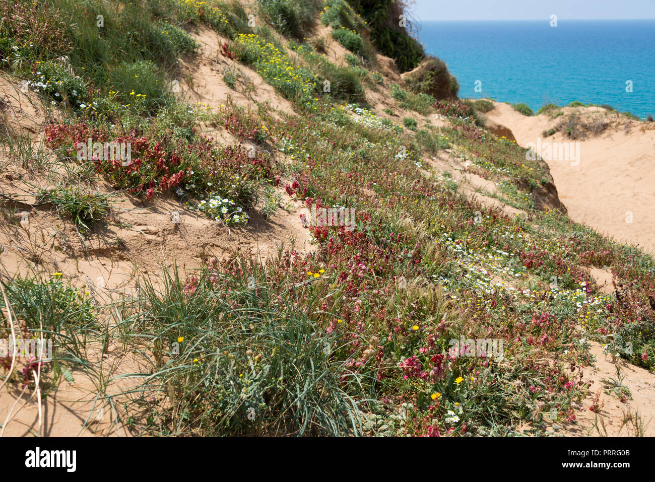 At Sharon Beach National Park, Sharon area, Israel Stock Photo - Alamy